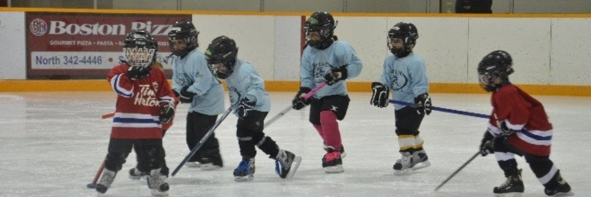 Red Deer Ringette Association : Website by RAMP InterActive